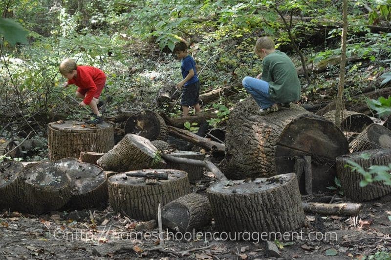 Get Your Children Exploring the Great Outdoors