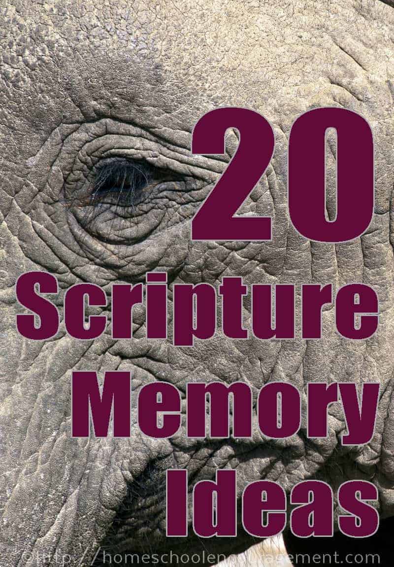 20 Articles to Encourage and Inspire Scripture Memory