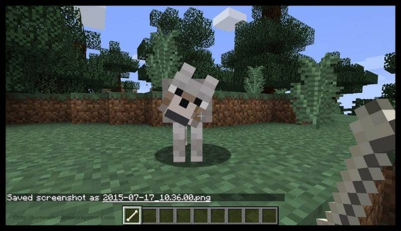 More Minecraft Writing Prompts