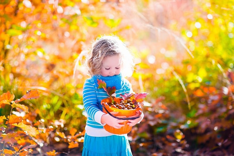 The Ultimate Family Fall Bucket List