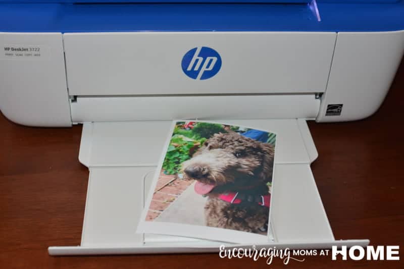 Easy Ways to Organize and Decorate Your Dorm Room with a Printer