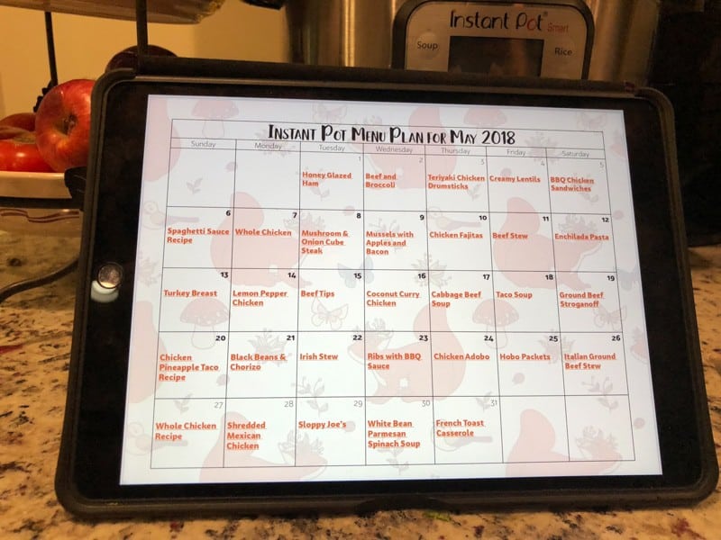 Budget Friendly Pressure Cooker Menu Plan for the Instant Pot