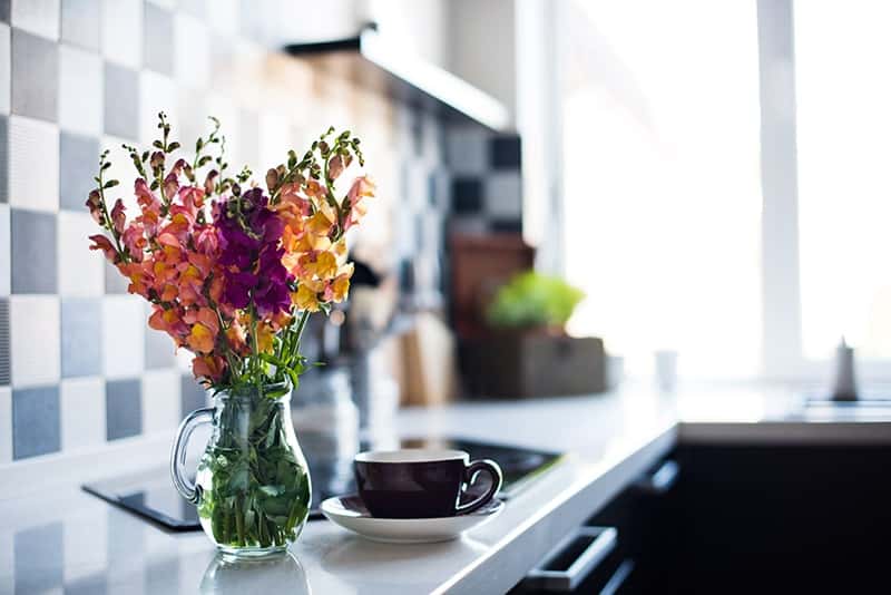 Free Printable Kitchen Cleaning Checklist in Three Style Choices